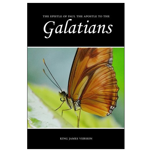 Galatians - Sunlight Bibles